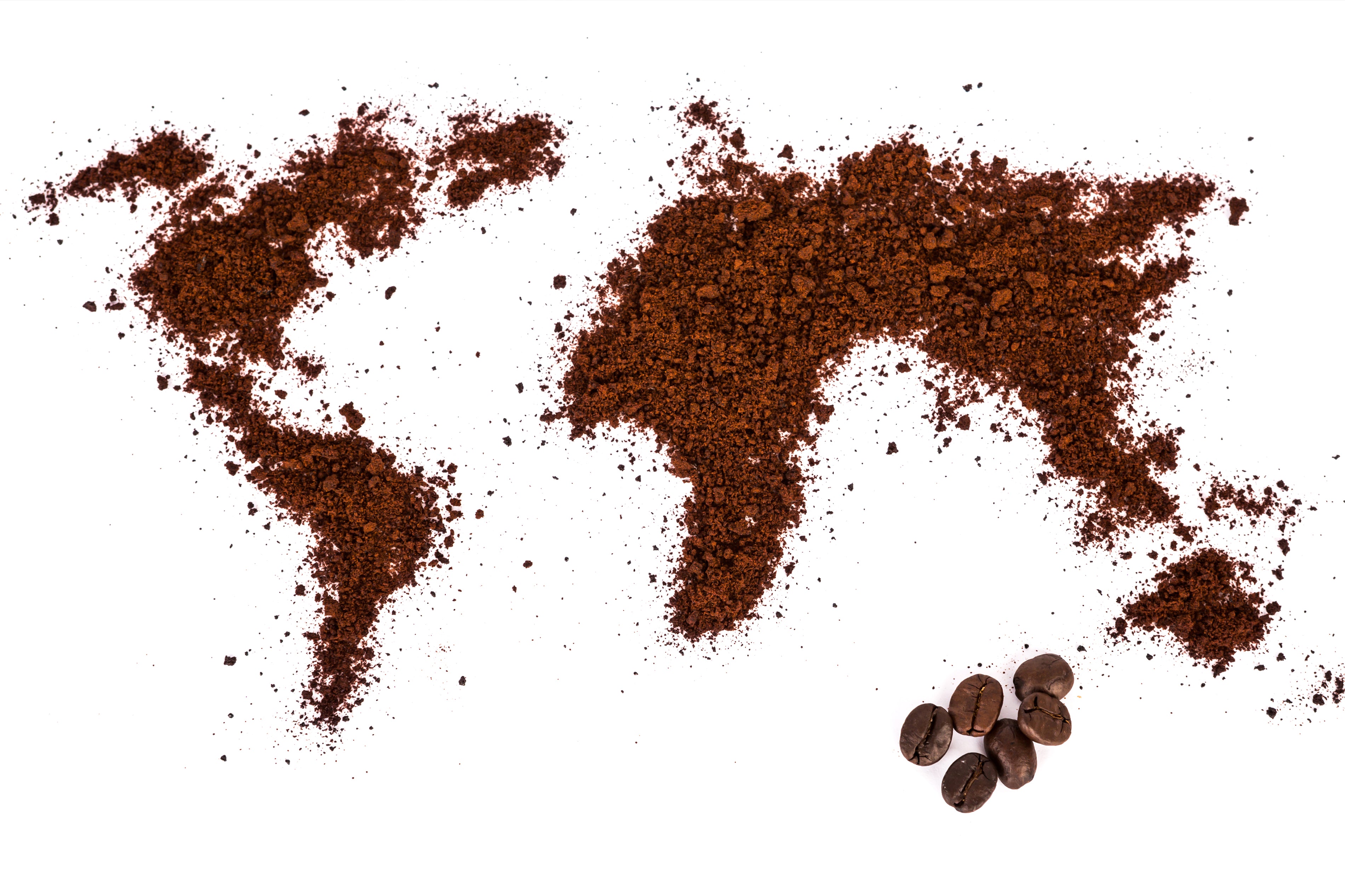 Coffee for Plant Growth: Benefits & ZimKaffee African Zimbabwe Coffee ...