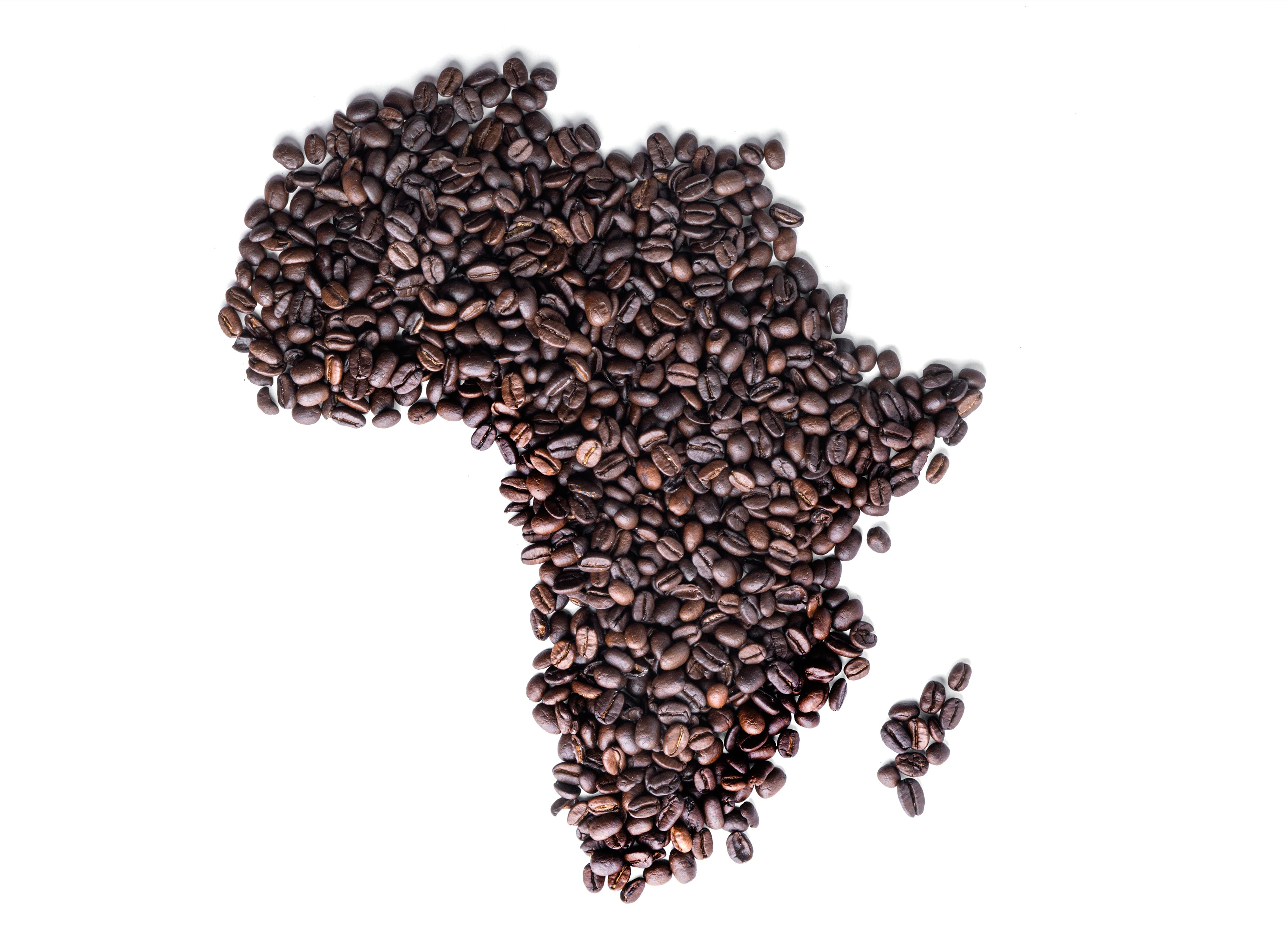 Discovering the Rich Tapestry of African Specialty Coffee • ZiMM.coffee